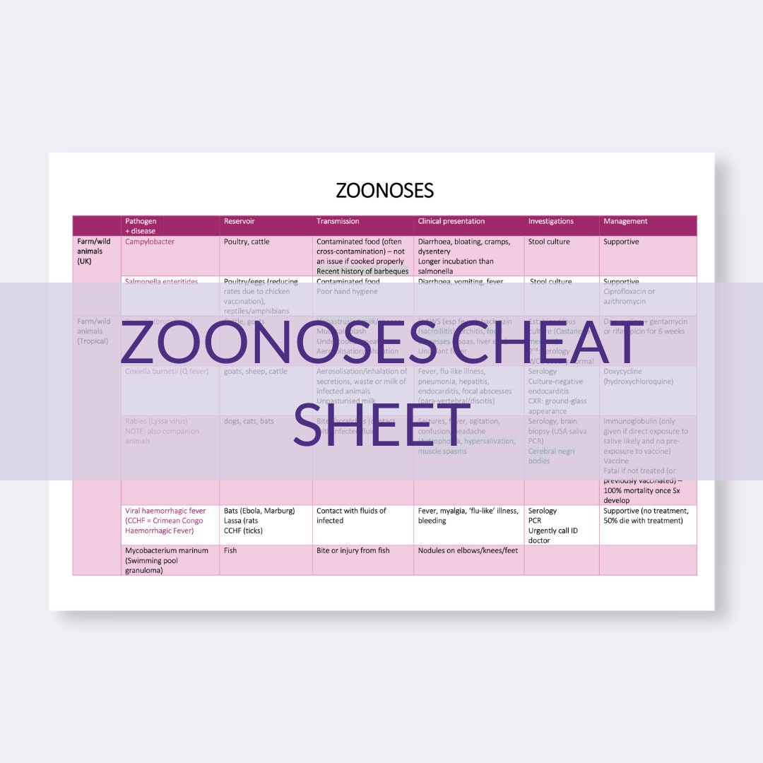 Zoonoses Viruses Cheat Sheet - Etsy