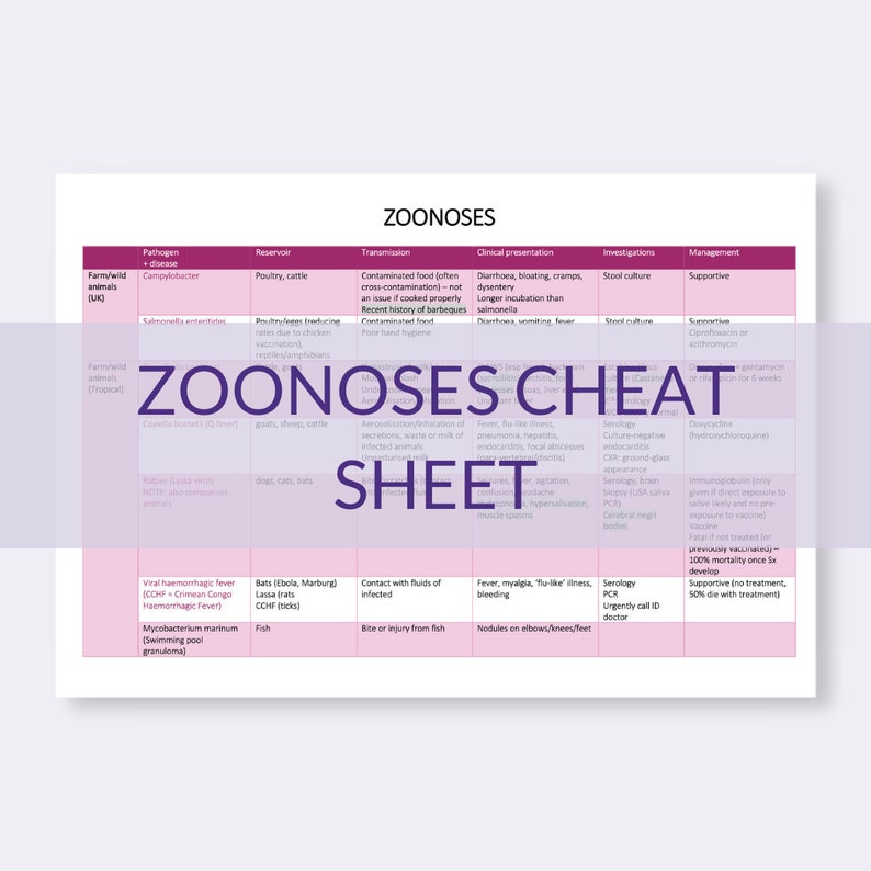 Zoonoses Viruses Cheat Sheet - Etsy