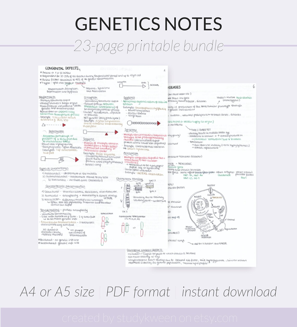 Genetics Medical School Study Guide | Handwritten Notes - Etsy