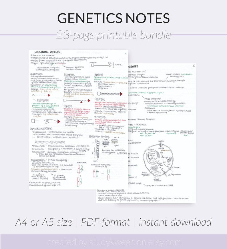 Genetics Medical School Study Guide Handwritten Notes - Etsy