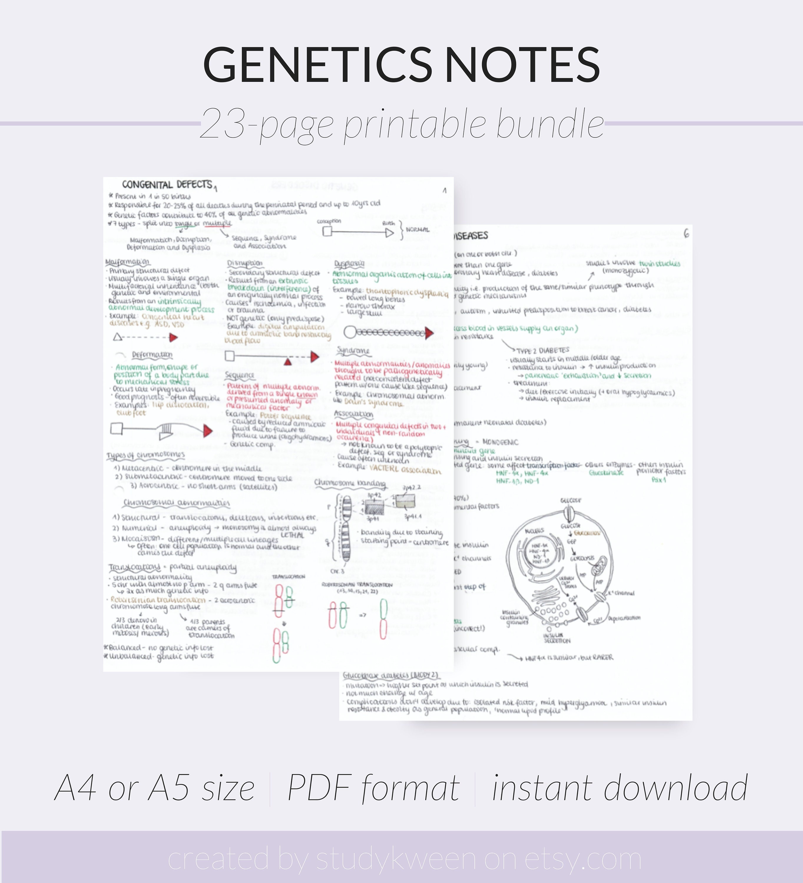 Genetics Medical School Study Guide | Handwritten Notes - Etsy