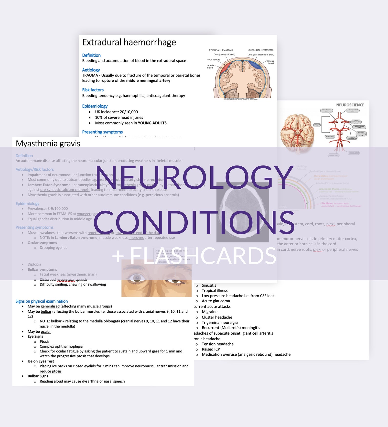 Neurology/neuroscience Conditions With Flashcards | Medical School ...
