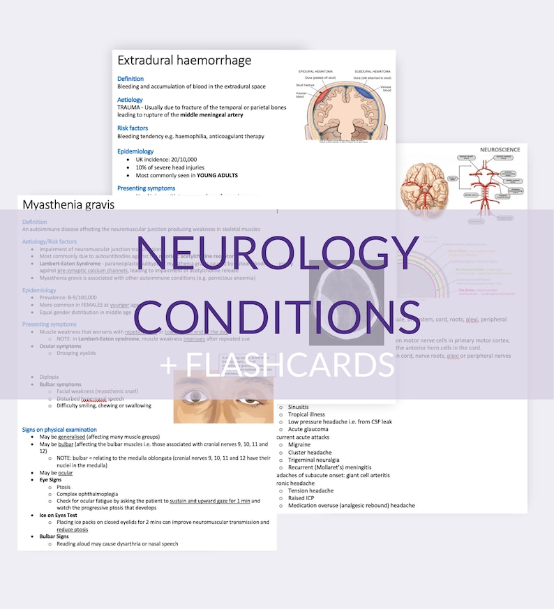 Neurology/neuroscience Conditions With Flashcards | Medical School ...