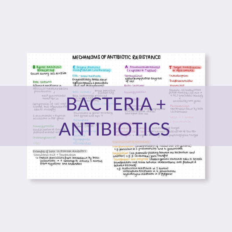 Bacteria and Antibiotics Cheat Sheet - Etsy