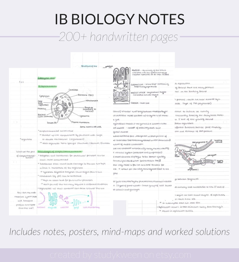 IB Biology Notes SL and HL Handwritten Revision Notes Study Guide ...