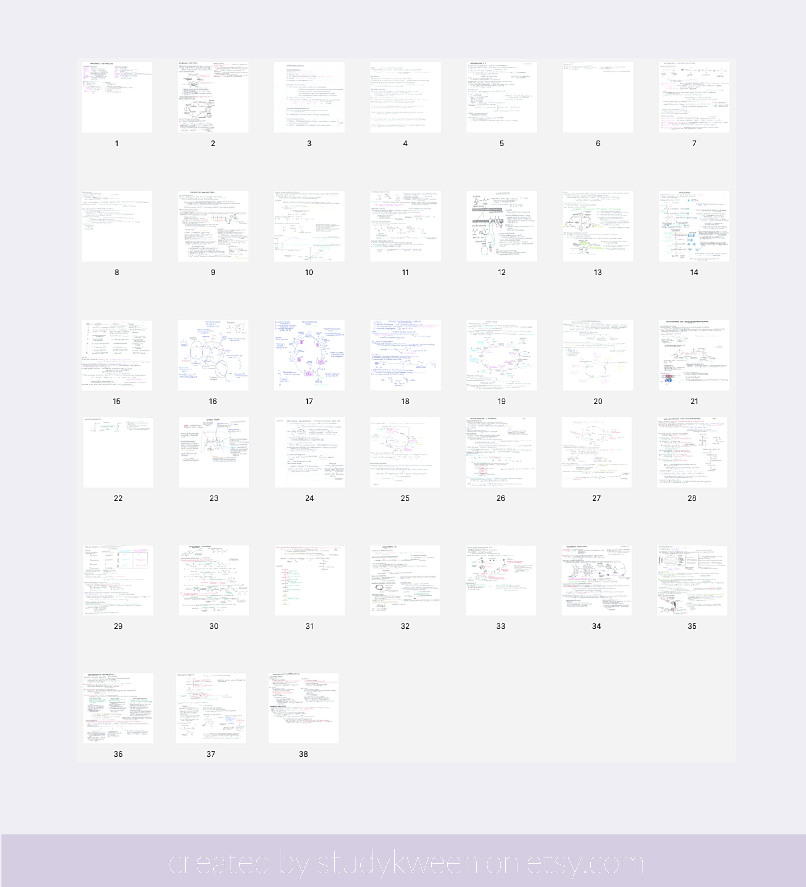 Metabolism Medical School Study Guide | Handwritten Notes - Etsy