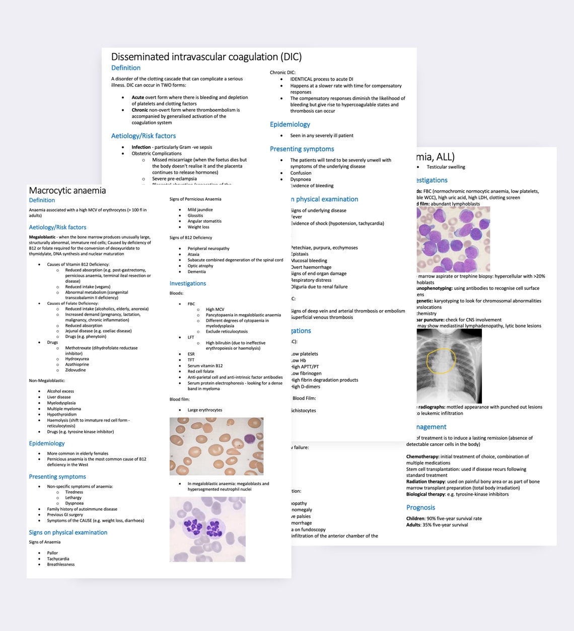 Haematology Conditions With Flashcards | Medical School Study Guide ...