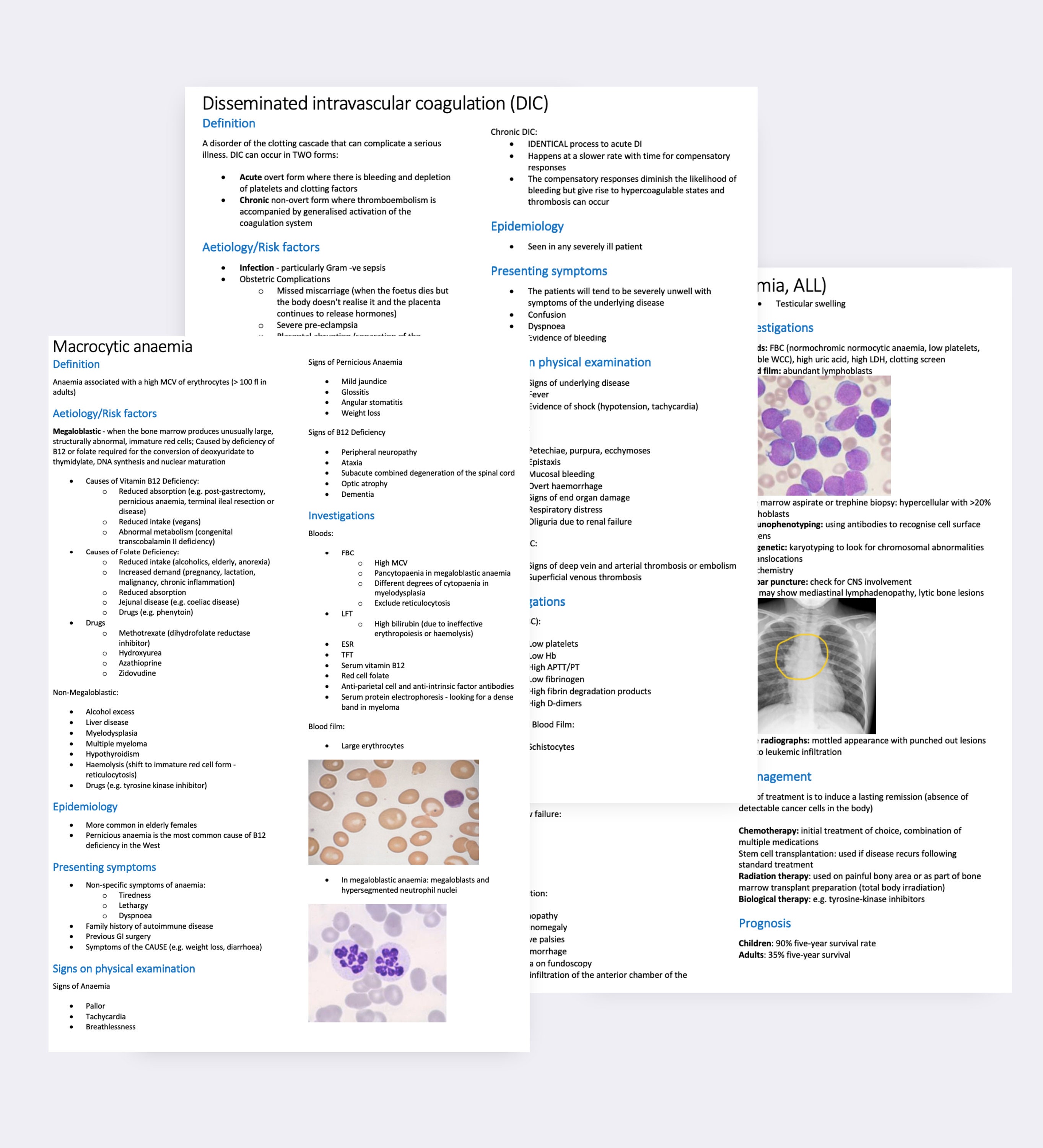 Haematology Conditions With Flashcards | Medical School Study Guide ...