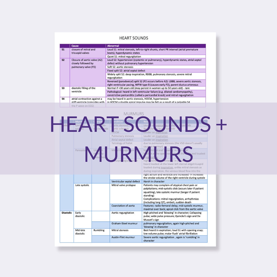 Heart Sounds + Murmurs Cheat Sheet - Etsy