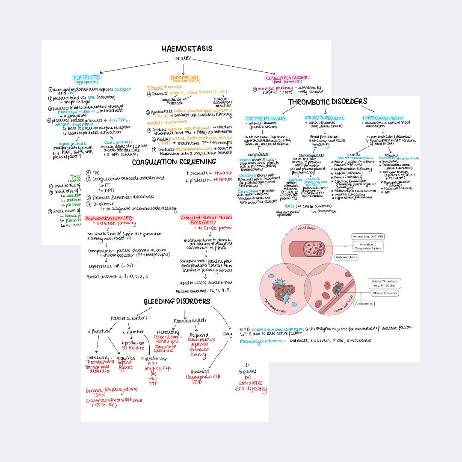 Clotting Cascade + Haemostasis Cheat Sheet | Handwritten Notes - Etsy UK