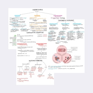 Clotting Cascade + Haemostasis Cheat Sheet | Handwritten Notes - Etsy UK