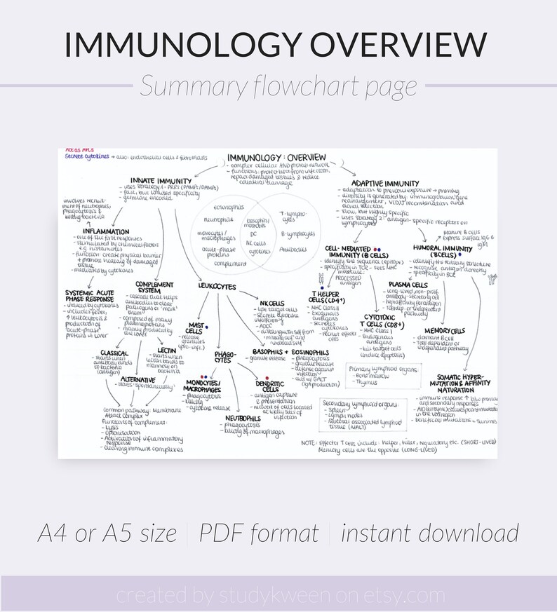 Immunology Medical School Study Guide Notes - Etsy