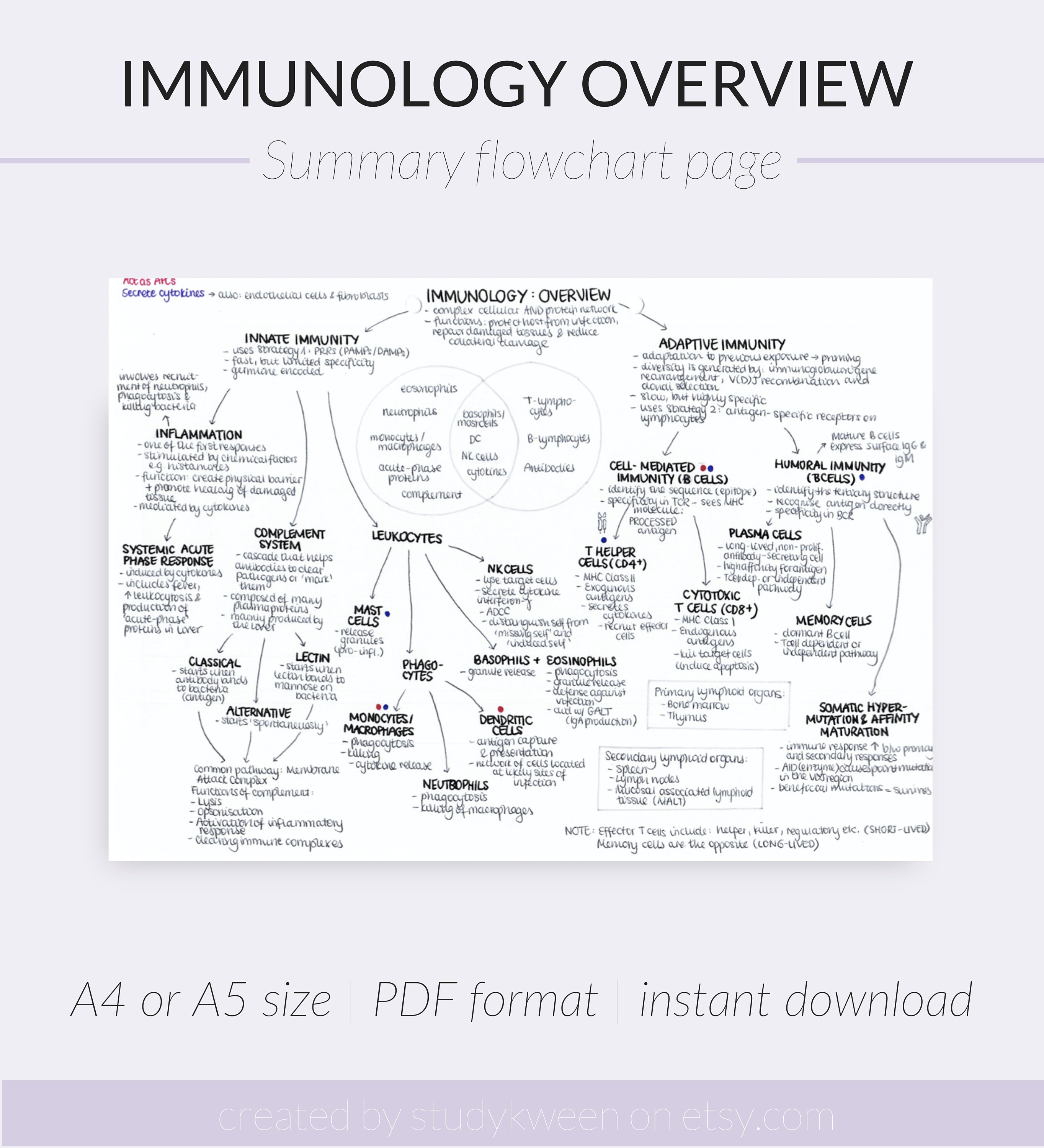 Immunology Medical School Study Guide Notes - Etsy