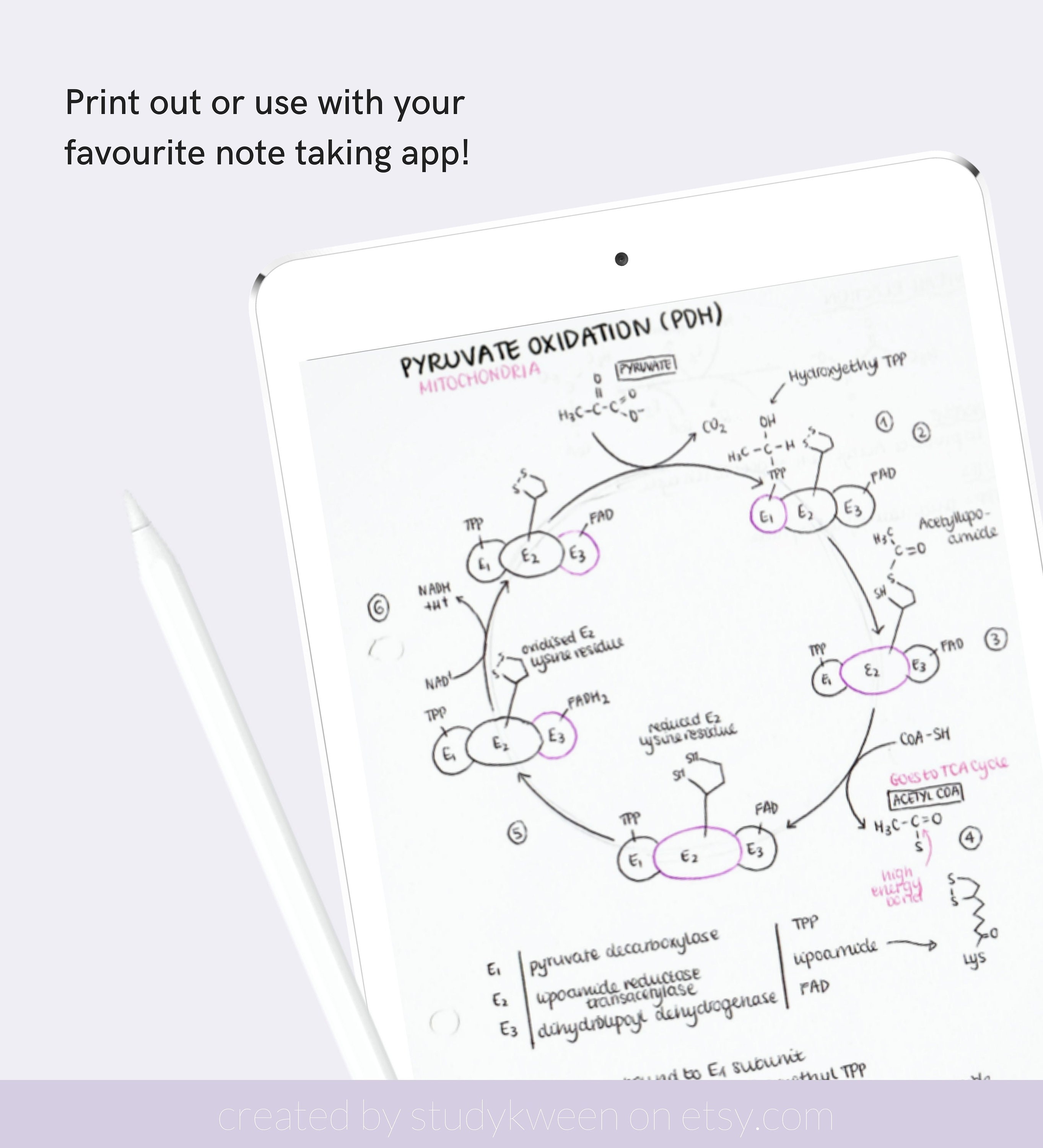 Microbiology Basics Medical School Study Guide Handwritten Notes - Etsy