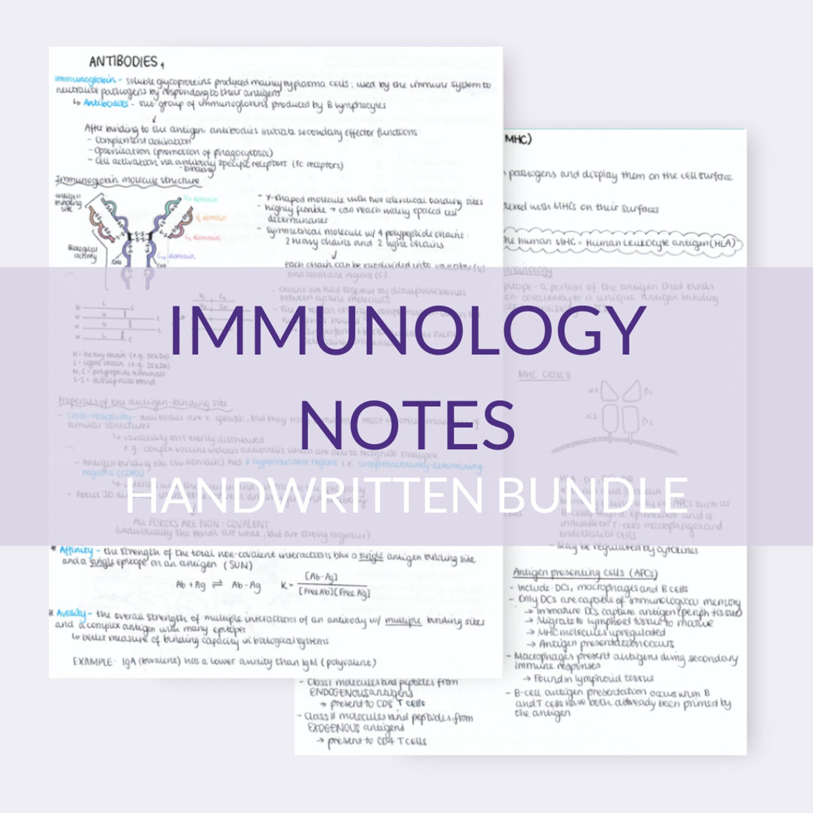 Immunology Medical School Study Guide Notes - Etsy