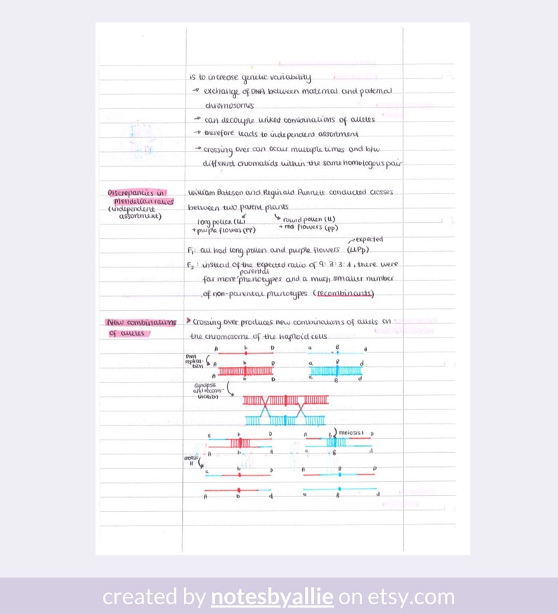 IB Biology Notes SL and HL | Handwritten Revision Notes | Study Guide ...