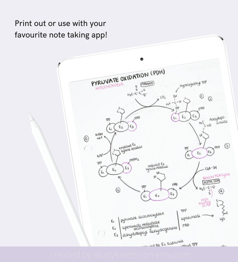 IB Chemistry Ultimate Notes SL and HL | Handwritten Revision Notes ...
