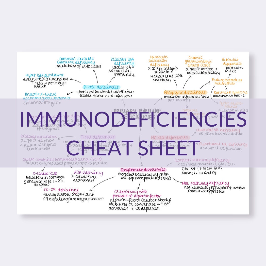 Immune Deficiencies Cheat Sheet - Etsy