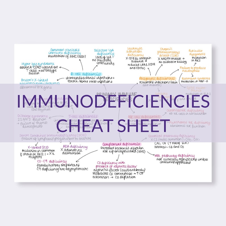 Immune Deficiencies Cheat Sheet - Etsy