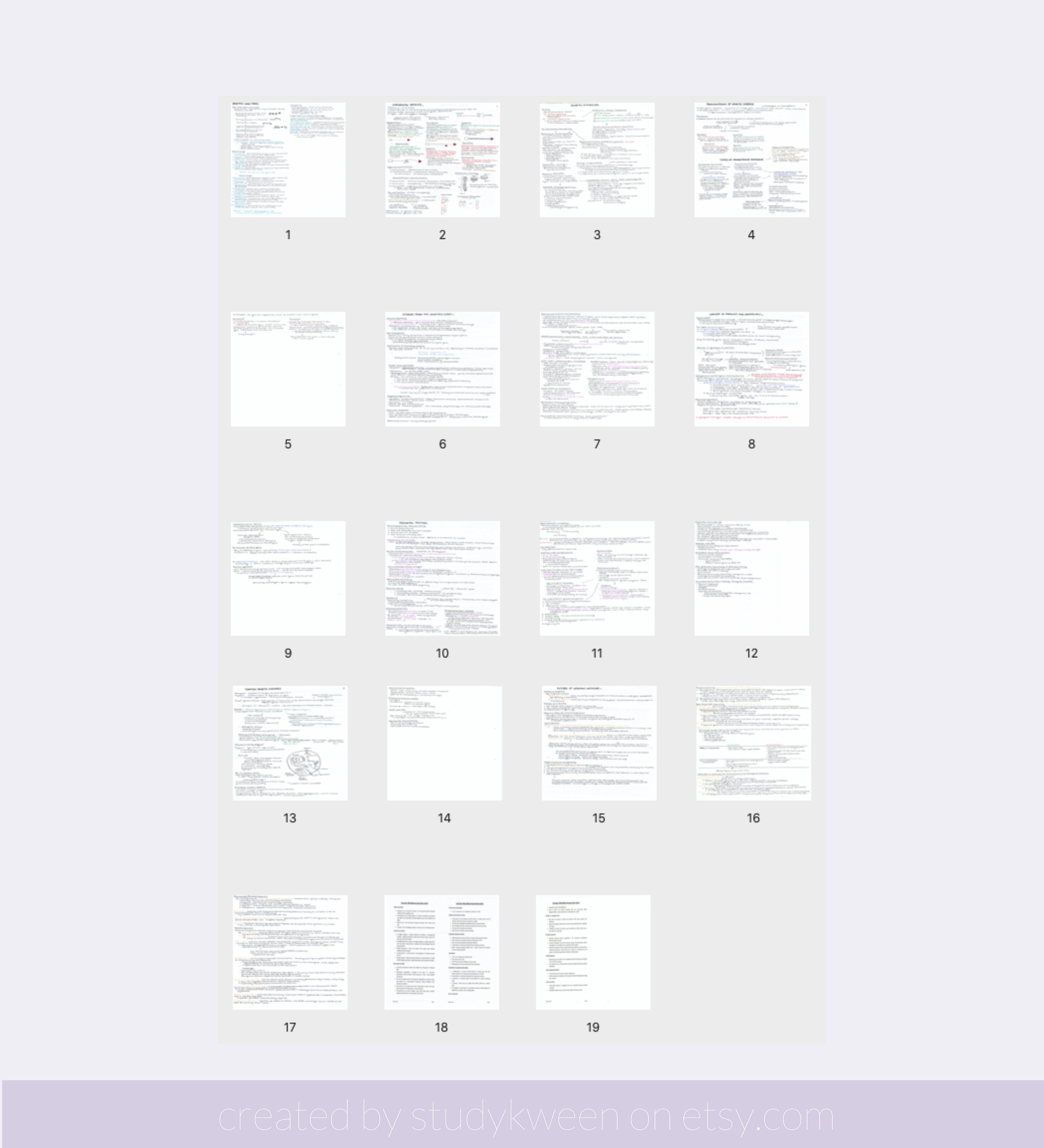 Genetics Medical School Study Guide | Handwritten Notes - Etsy