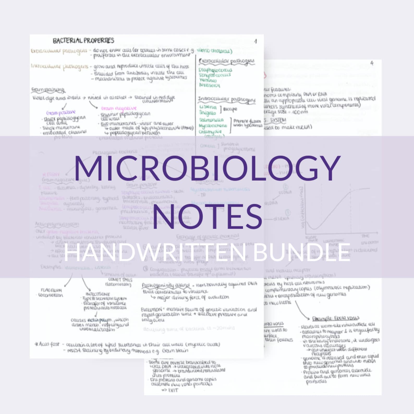 Microbiology Basics Medical School Study Guide Handwritten Notes - Etsy