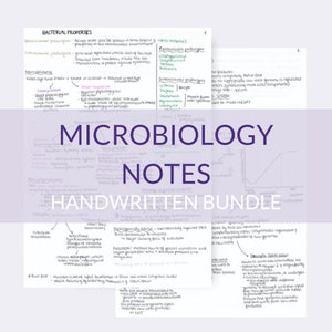 Microbiology Basics Medical School Study Guide Handwritten Notes - Etsy