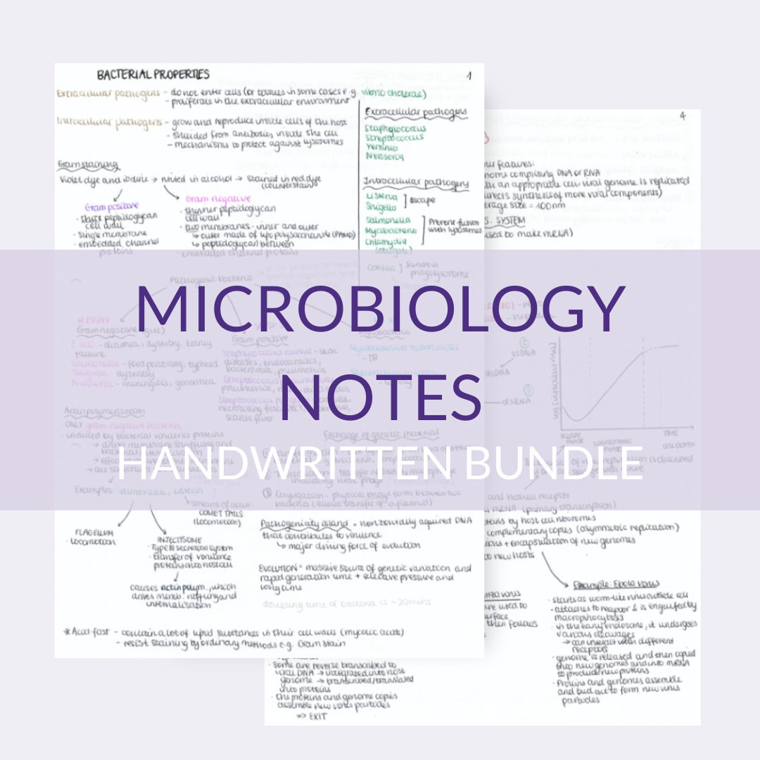 Microbiology Basics Medical School Study Guide Handwritten Notes - Etsy