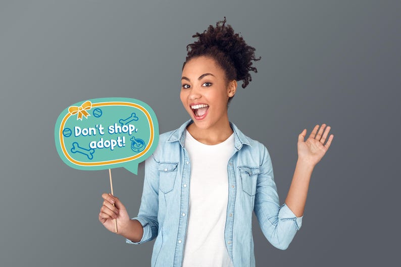 Dog Adoption Photo Booth Props 10 Piece Kit Rescue Event Decorations ...