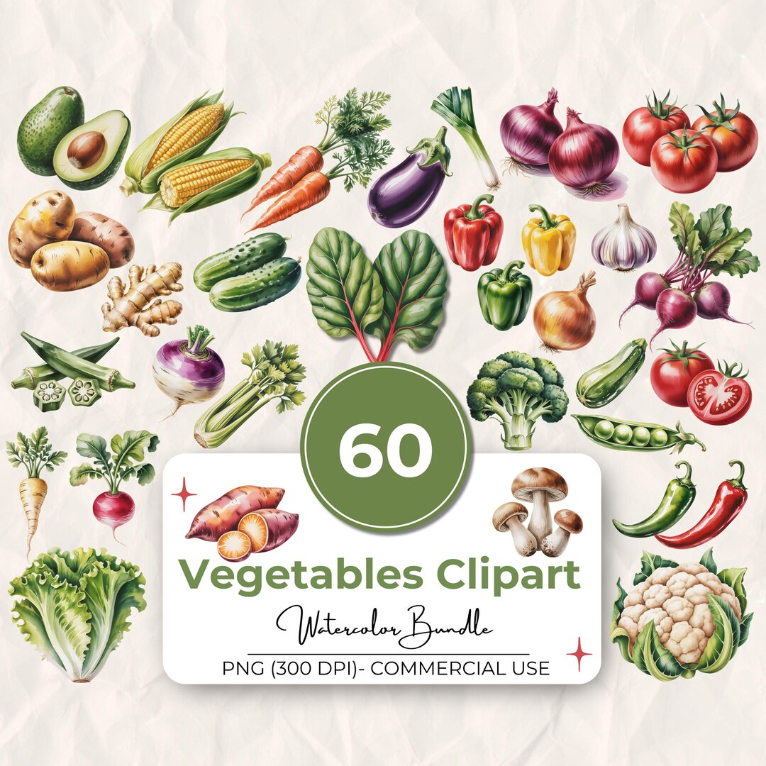 60 Watercolor Vegetables Clipart Bundle, Tomato, Broccoli, Corn ...