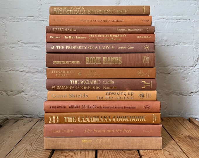 Brick Book Decor, Rustic Bookshelf Decor, Light Brown Stacked Books ...