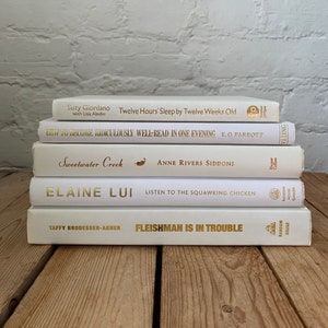 White Decorative Books, White Shelf Aesthetic, White Prop Staging Books ...