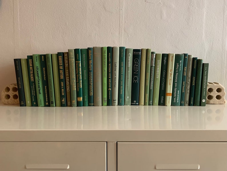 Green Decorative Books, Green Home Decor Accent Ideas for Bookshelf ...