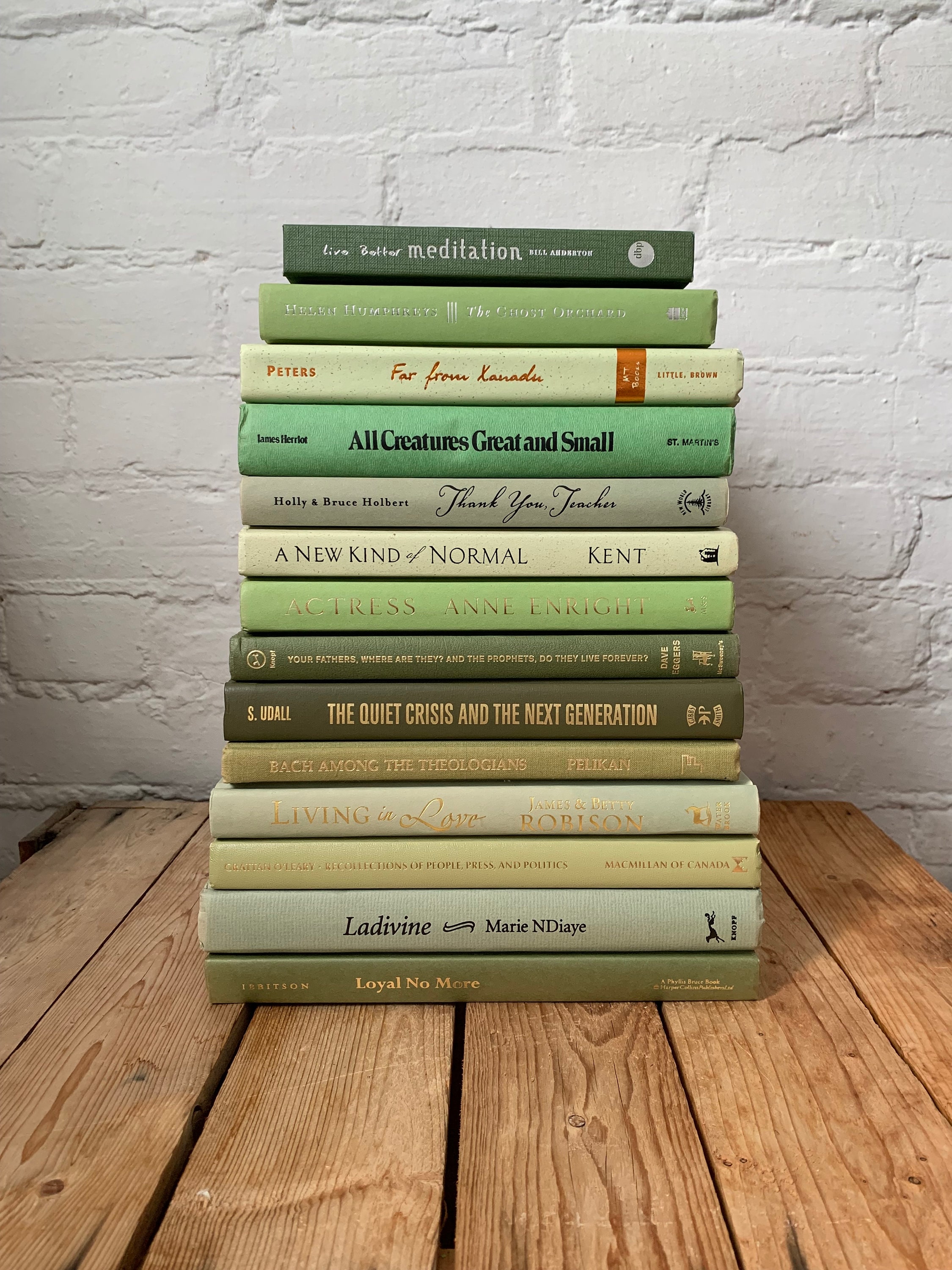 Green Staging Book Stack, Vintage Aesthetic Decorative Book Idea for ...