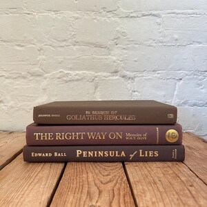 Brown Book Stack, Bundle of Aesthetic Brown Books for Bookshelf Styling ...