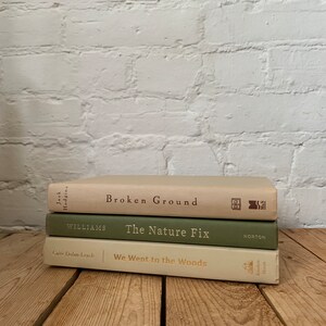 Earthy Decorative Books Stack, Neutral Styling Books, Real Decorative ...