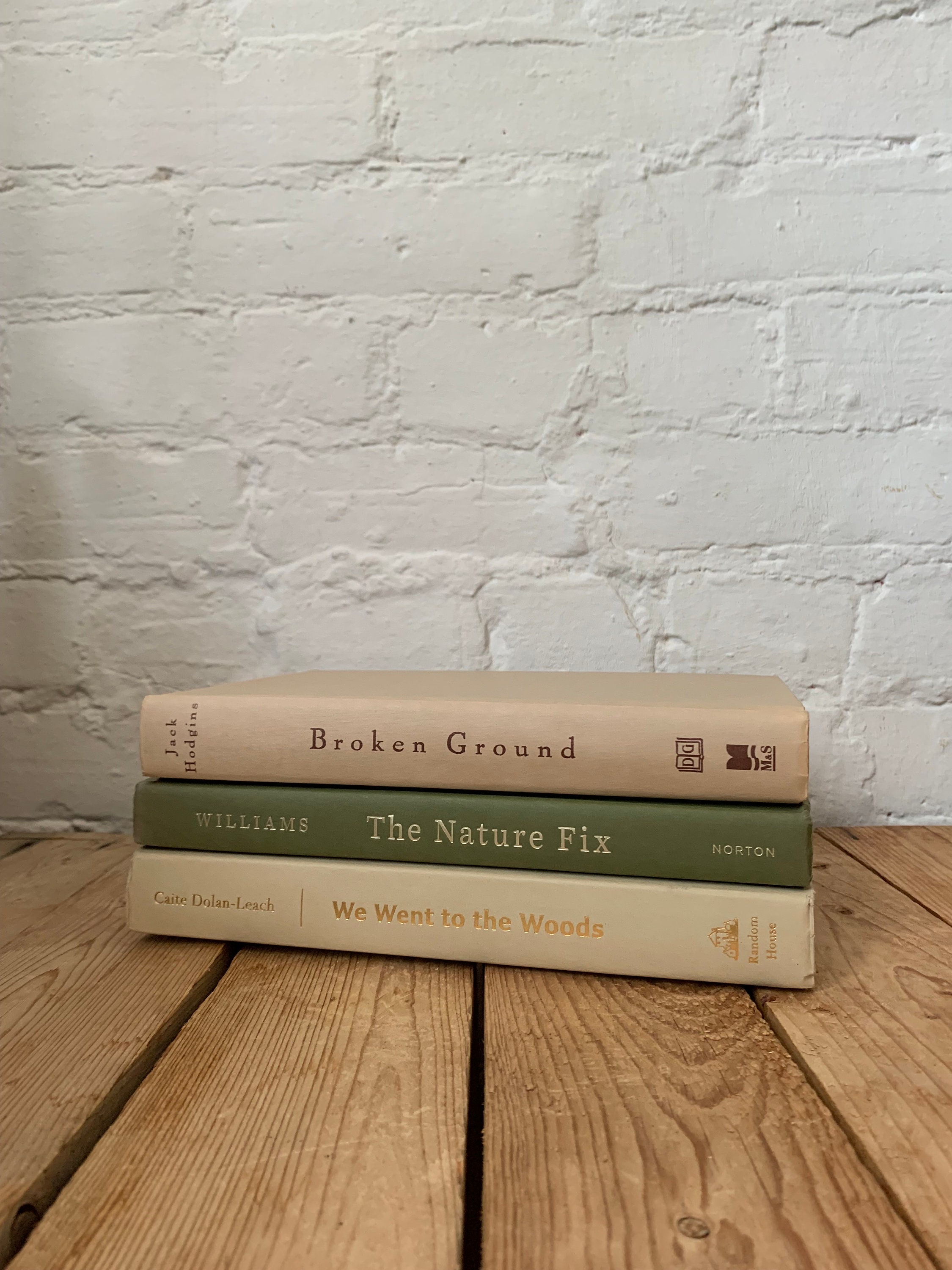 Earthy Decorative Books Stack, Neutral Styling Books, Real Decorative ...