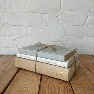 Neutral Decorative Book Bundles in White Gray and Cream, Curated Book ...
