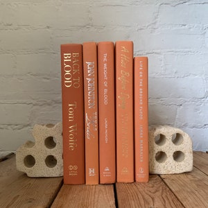 Light Orange Staging Books, Peach Book Stack, Decorative Display Books ...