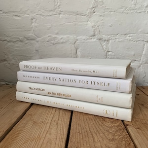 White Decor Books, Vintage Shelf Staging Books , White Staging Prop ...