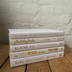 White Book Stack, White Shelf Aesthetic, White Themed Books, Ivory ...
