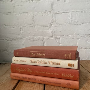 Rose Staging Books, Soft Pink Bookshelf Decor, Blush Book Stack, Warm ...