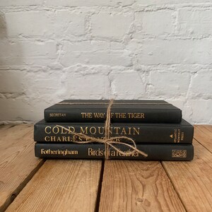 Black Decorative Prop Books, Black Shelf Decor, Bundle of Black Staging ...