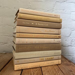 Cream Book Stack, Neutral Vintage Book Set, Decorative Book Stack ...