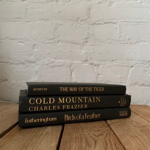 Black Decorative Prop Books, Black Shelf Decor, Bundle of Black Staging ...
