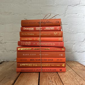 Orange Book Stack, Orange Book Decor, Decorative Display Books, Books ...