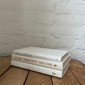 White Decorative Books, White Book Stack, White Home Decor Styling ...