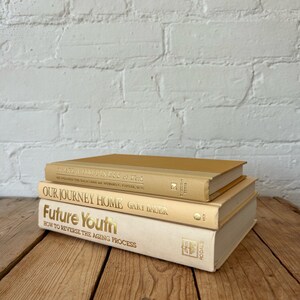 Cream Book Stack, Neutral Vintage Book Set, Decorative Book Stack ...