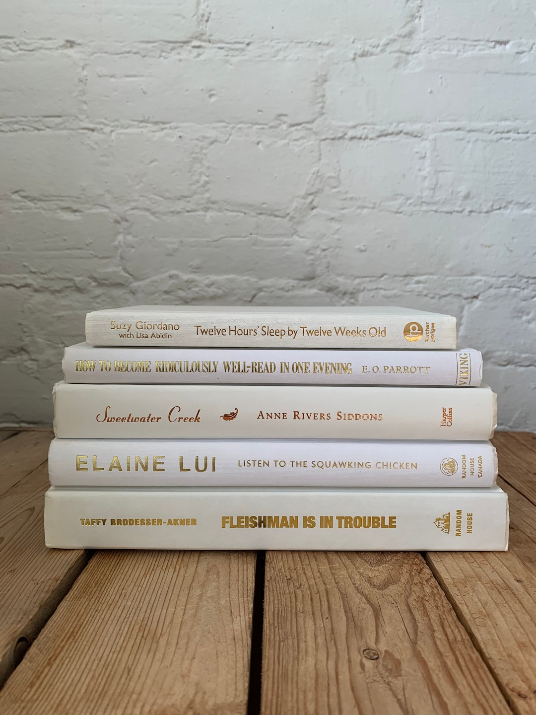 White Decorative Books, White Shelf Aesthetic, White Prop Staging Books ...