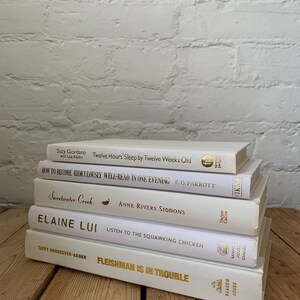 White Decorative Books, White Shelf Aesthetic, White Prop Staging Books ...