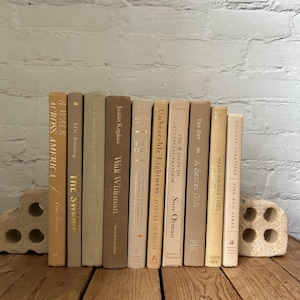 Cream Book Stack, Neutral Vintage Book Set, Decorative Book Stack ...